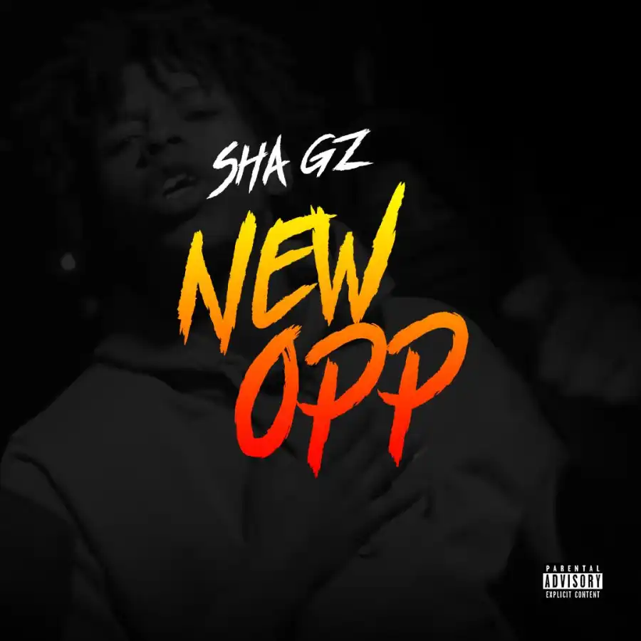 Sha Gz – New Opp (Instrumental) Mp3 Download Music Waploaded