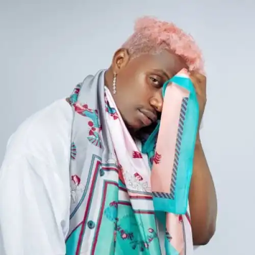 Download All Rayvanny Latest Songs 2026, Albums & Videos Waploaded